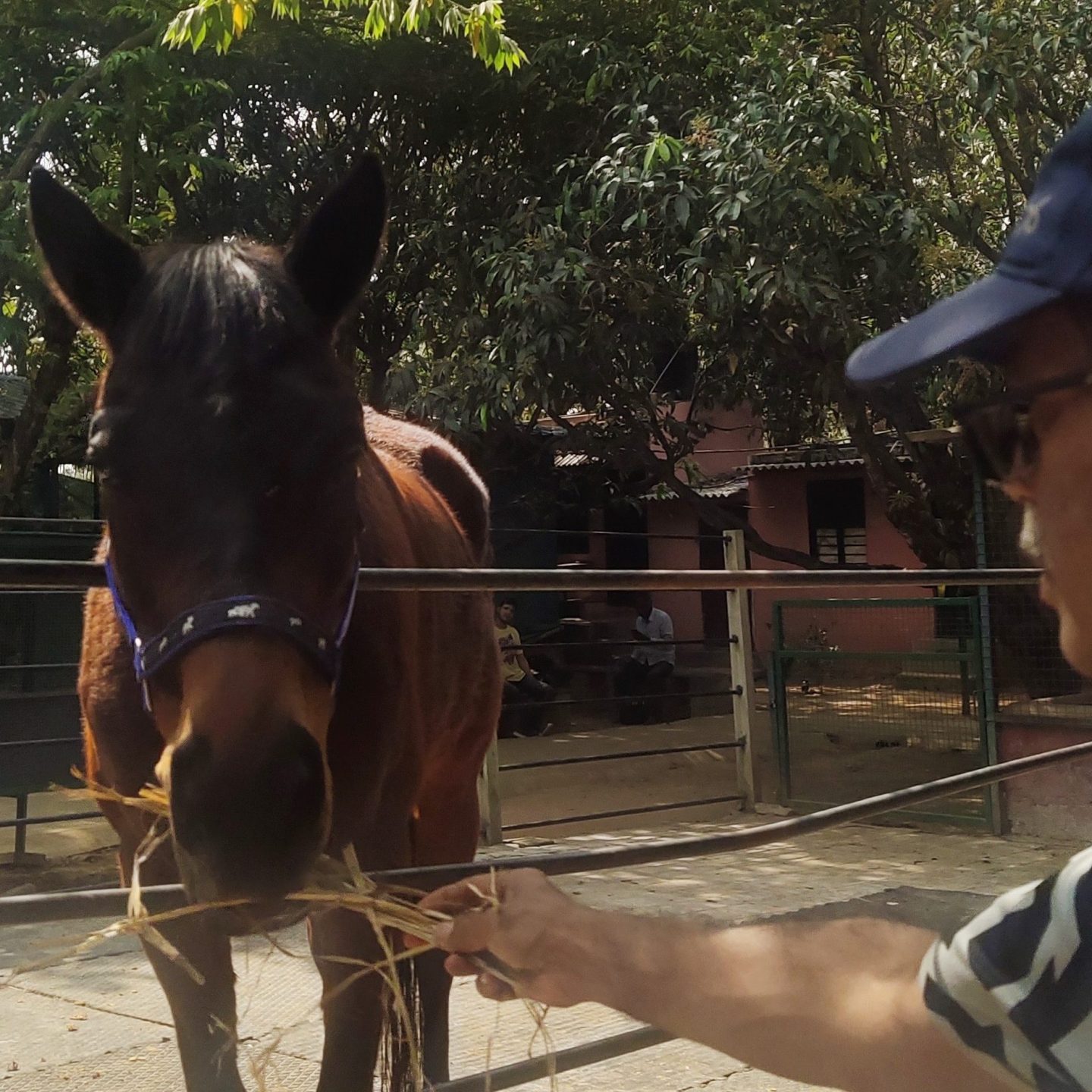 Courage is not the absence of fear – Innerdialects